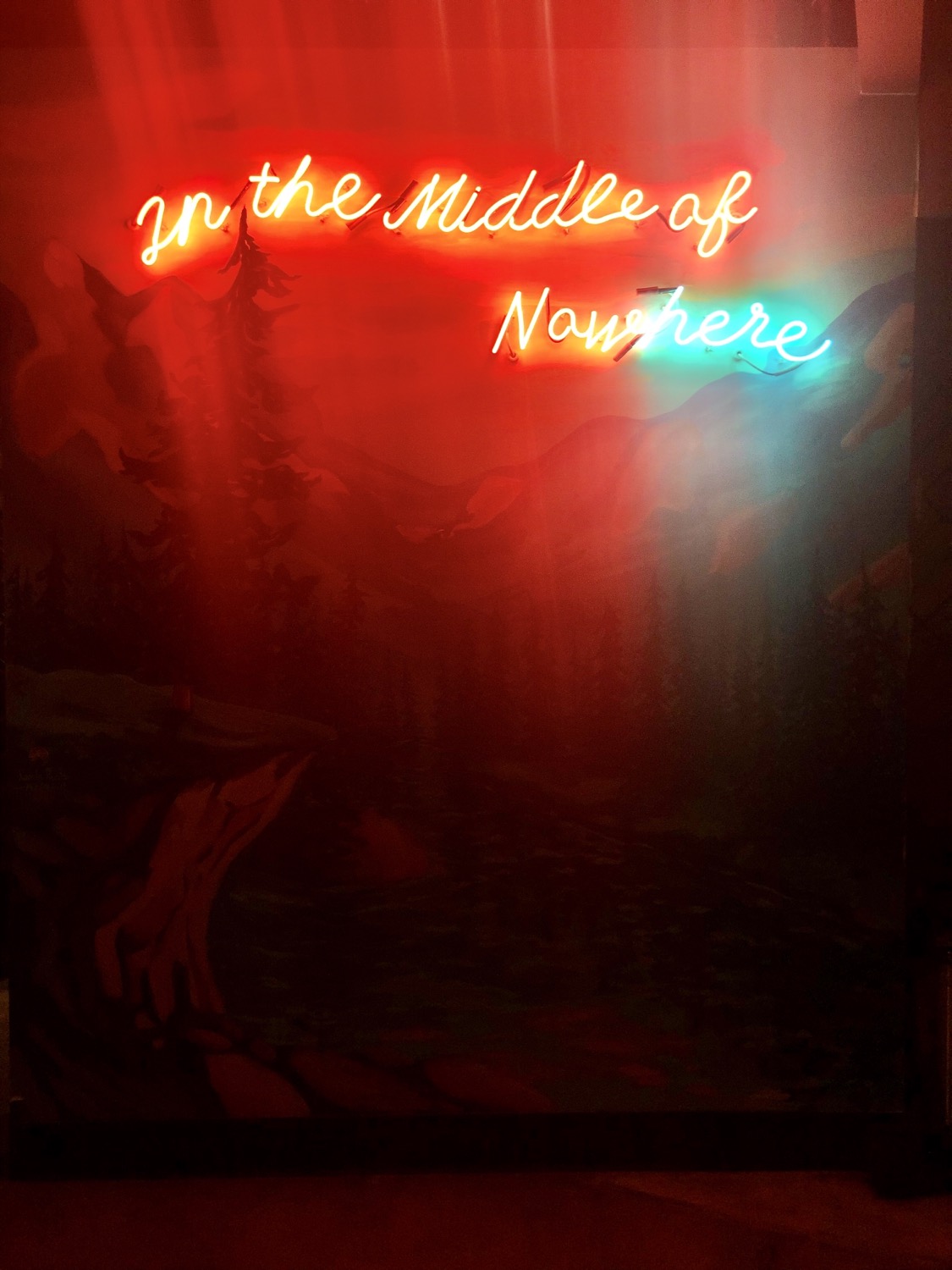 Ally Abroad: Denver, Colorado, USA