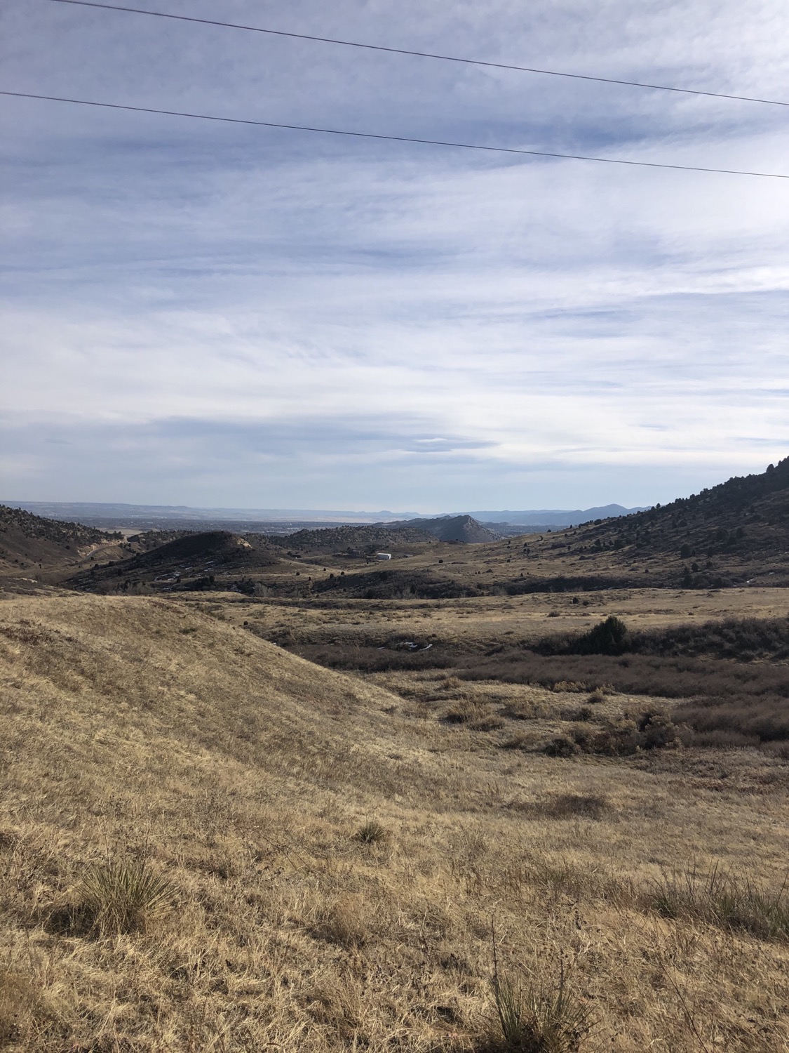 Ally Abroad: Denver, Colorado, USA