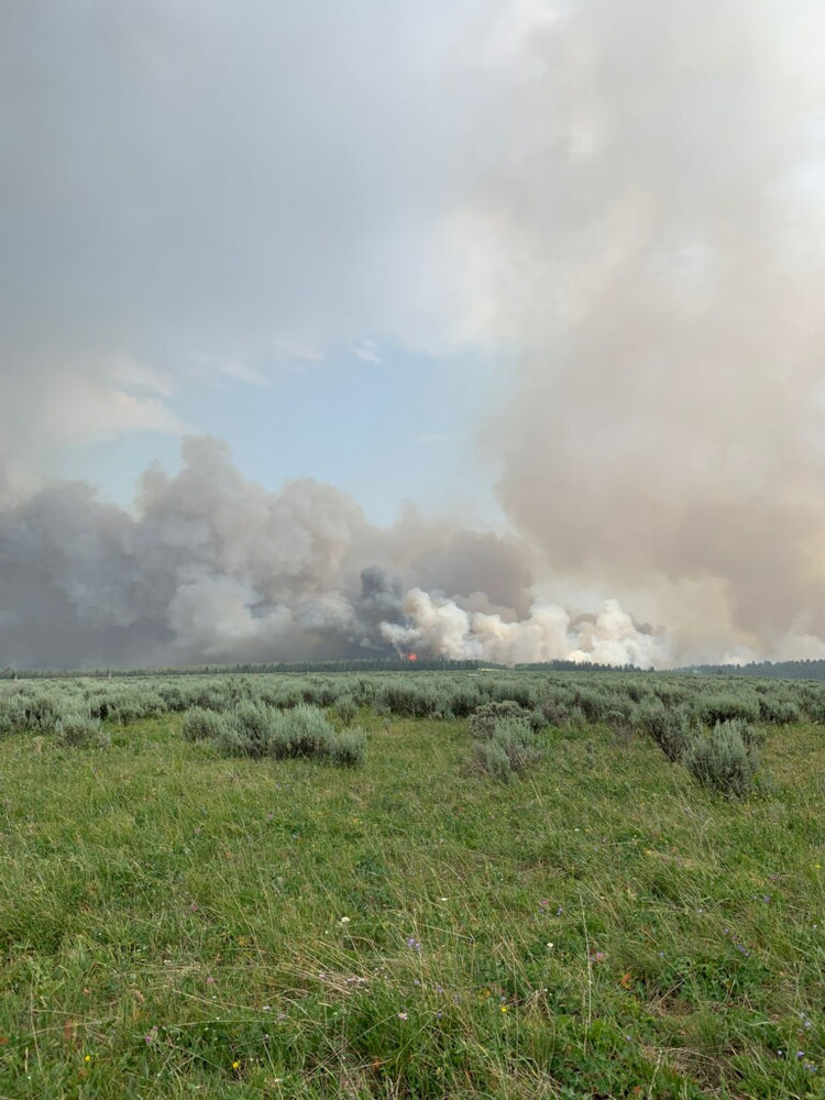 Goose Fire Update 07/13/2021
