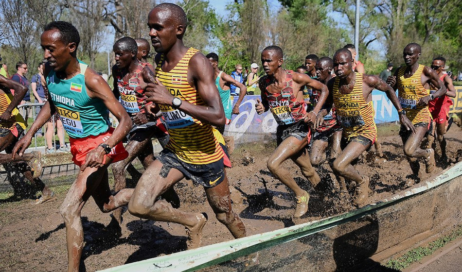 The History of Cross Country Running: From Its Roots to Modern Competitions