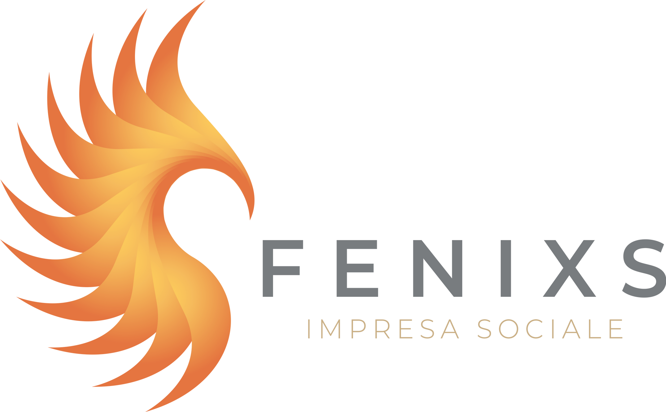 Fenixs S.R.L. Impresa Sociale | Impresa sociale