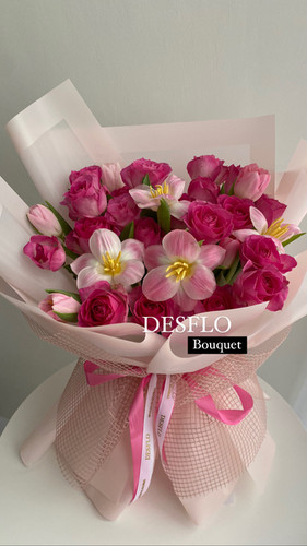 Tulipa bloom | Desflo