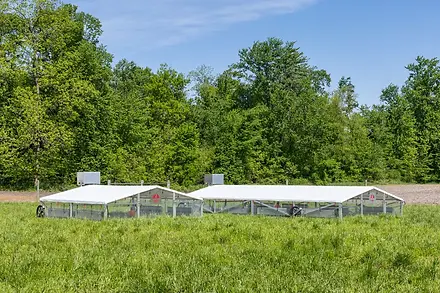 Gallery | Quality Chicken Coop