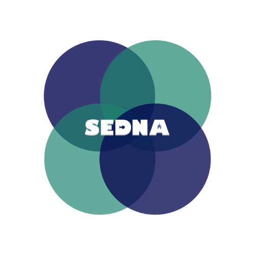 Home | Sedna Technologies
