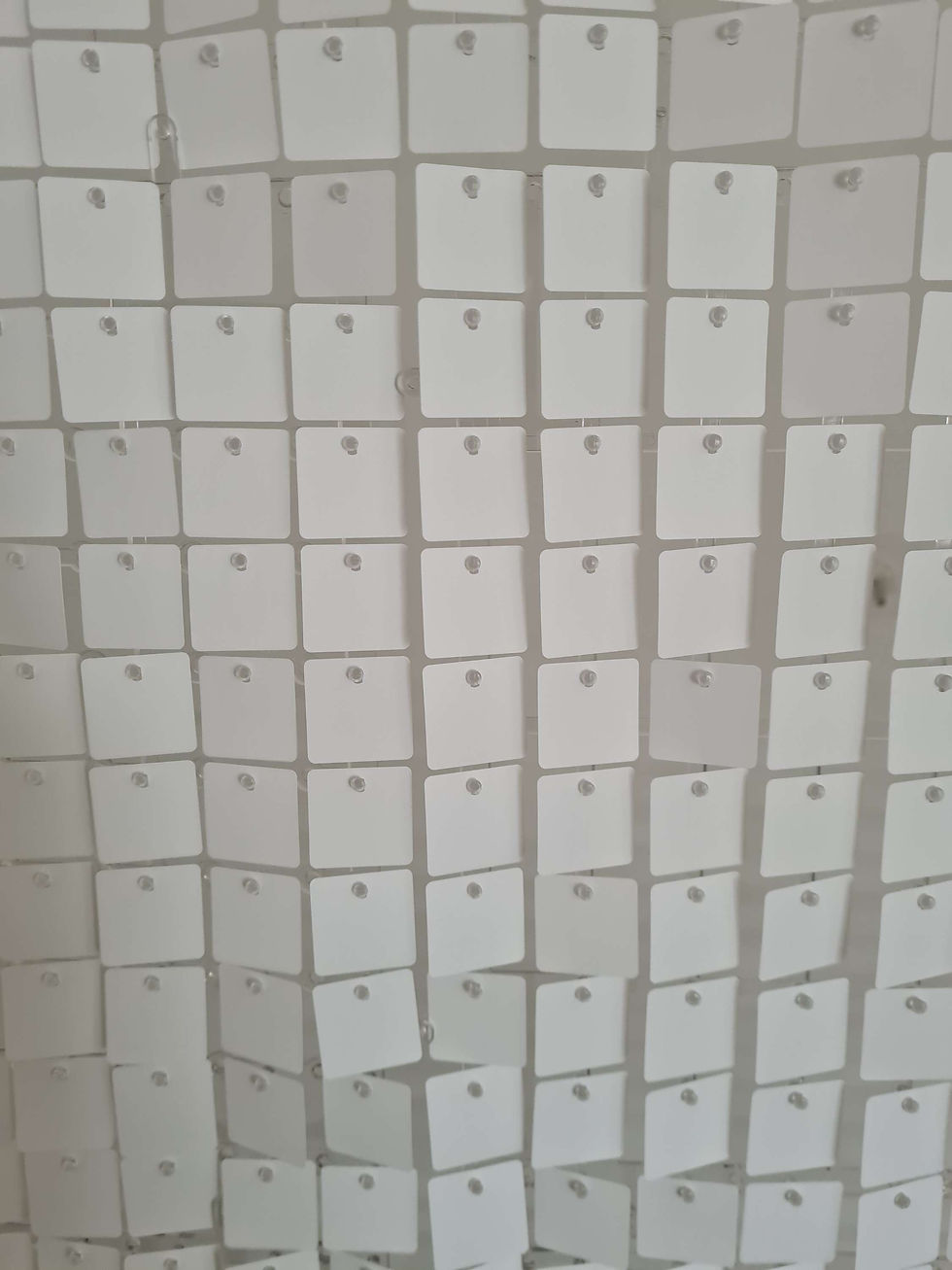 Custom Sequin Wall Designs for Weddings & Events 2/2