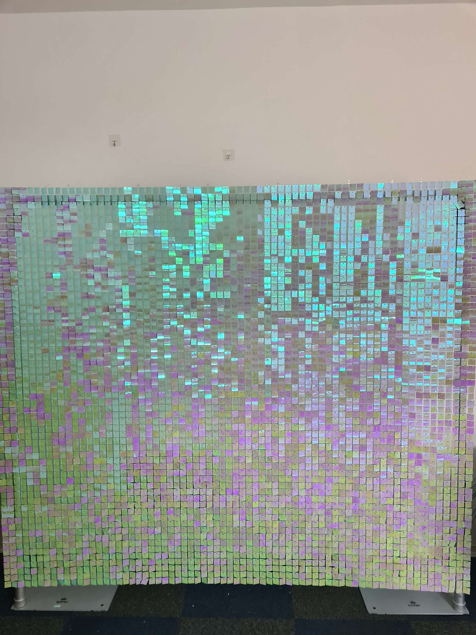 Custom Sequin Wall Designs for Weddings & Events 2/3