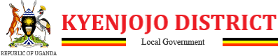 Inspector of Schools job at Kyenjojo District Service Commission ...