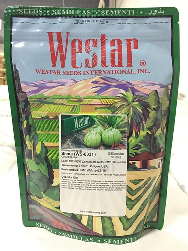 Calabaza Bola SIENA (8331) - Sobre de 3 Millares | AGRO A&B