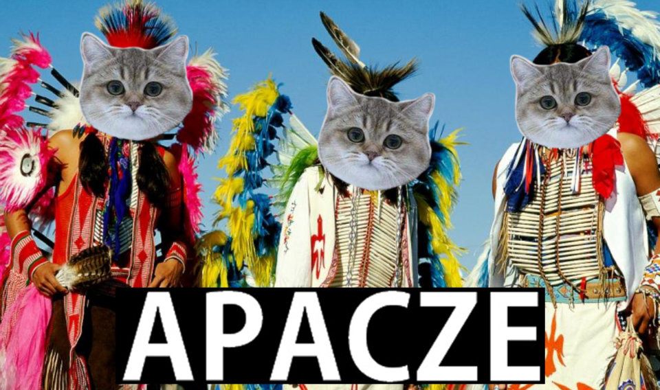 Patent na kreatywność | Kancelaria Ostrowski i Wspólnicy : Co ja pacze ...