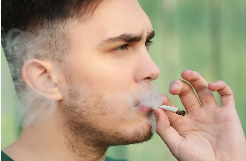 World's Most Potent: What is the Strongest Marijuana Strain?