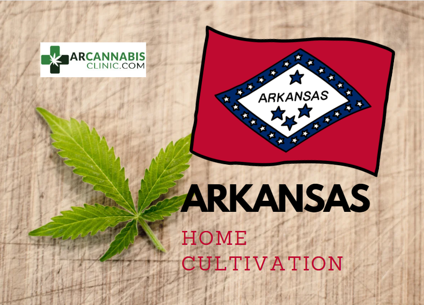 Can You Grow Marijuana in Arkansas? [Growing Cannabis]
