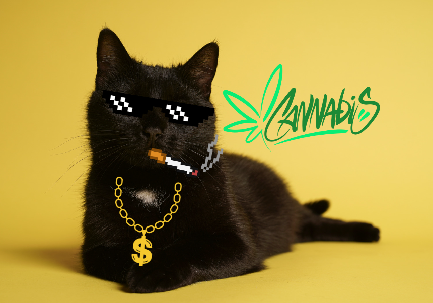 Smoke, Scare, and Share: Friday the 13th and Weed Memes