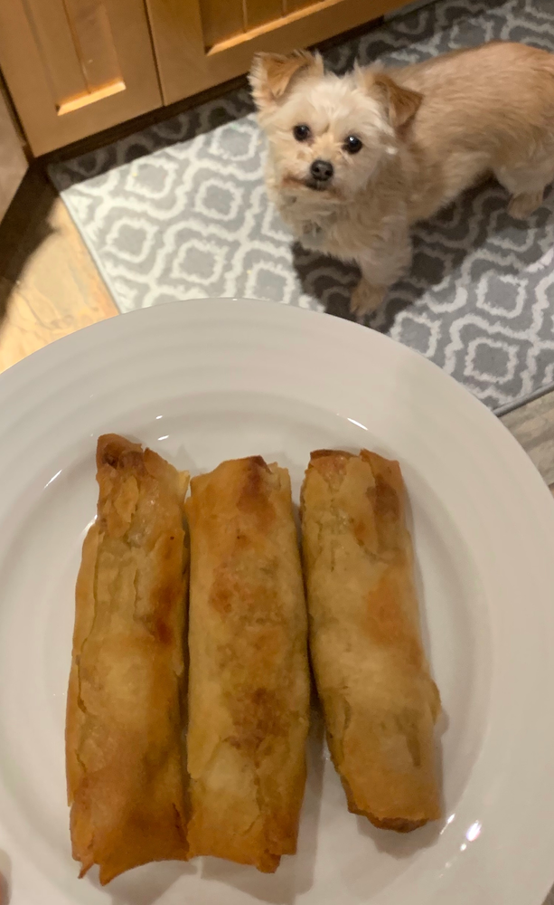Costco Summ! Crispy Vegetable Spring Rolls Review