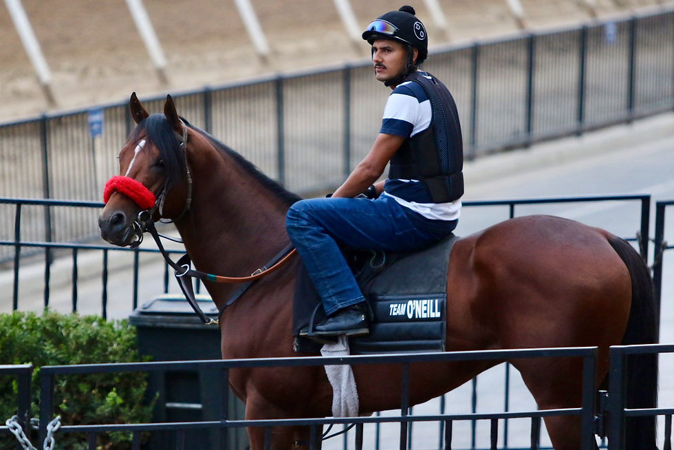 ABOUT | Doug O'Neill Racing