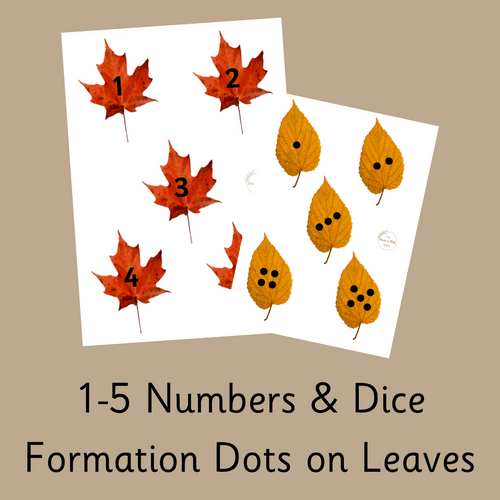 Number & Dice Formation Dots 1-5 on Autumn Leaves | PRINTABLE | TheKnow ...