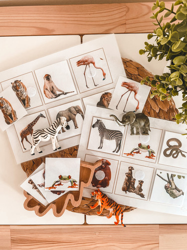Wild Animals Matching Game | PRINTABLE | TheKnow&PlaySpace