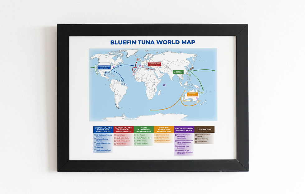 Bluefin Tuna World Map