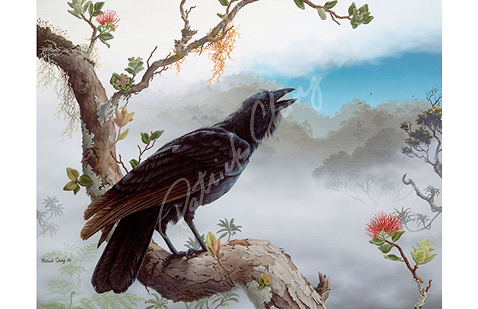 Patrick Ching | Art Gallery