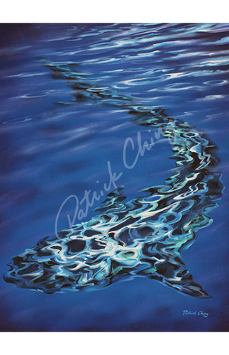 Manō Kai Blue | Patrick Ching