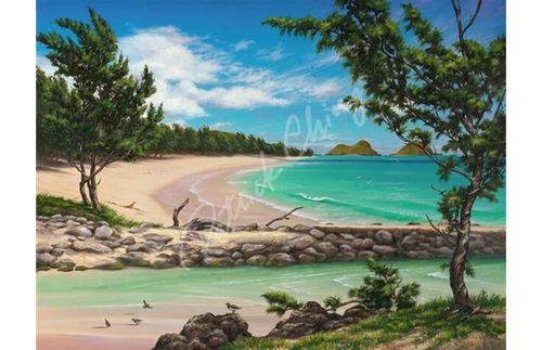 Bellows Inlet | Patrick Ching