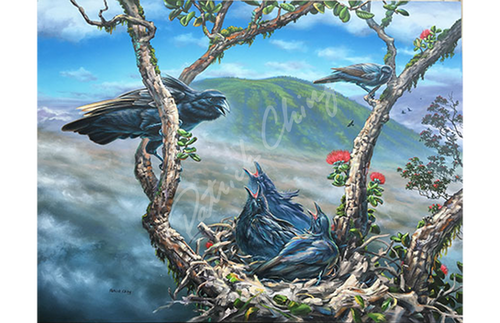 ʻAlalā Ohana | Patrick Ching