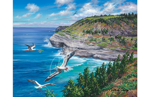 East Cove Boobies | Patrick Ching