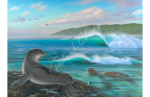 Seal Surf | Patrick Ching