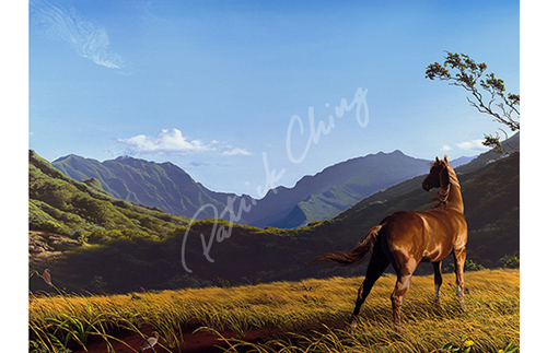 Morning Glory | Patrick Ching