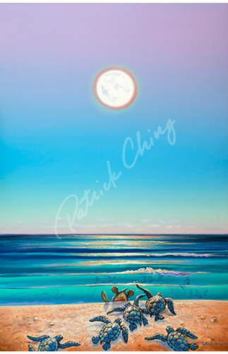 Mahina Kai | Patrick Ching