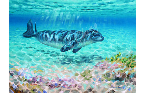 Monk Seal Mosaic | Patrick Ching