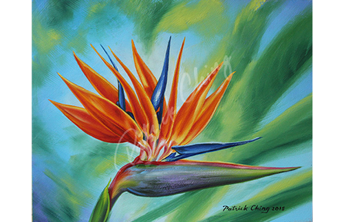 Bird of Paradise | Patrick Ching