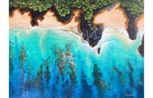 Hidden Paradise | Patrick Ching