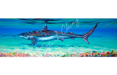 Reef Guardian | Patrick Ching