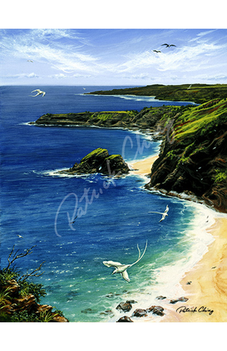 Crater Hill Tropics | Patrick Ching