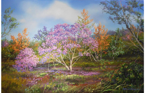 Jacaranda Field | Patrick Ching