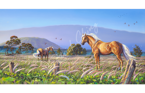 Kona Gold | Patrick Ching