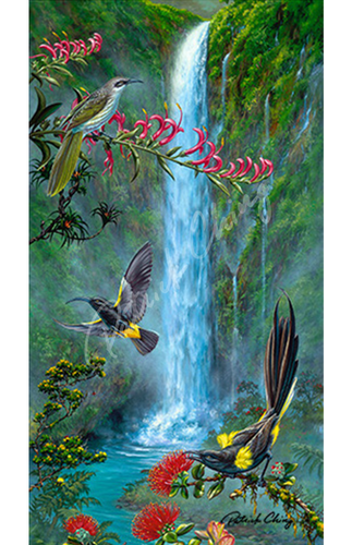 Royal Falls | Patrick Ching