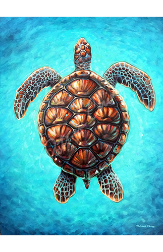 Honu Moana | Patrick Ching