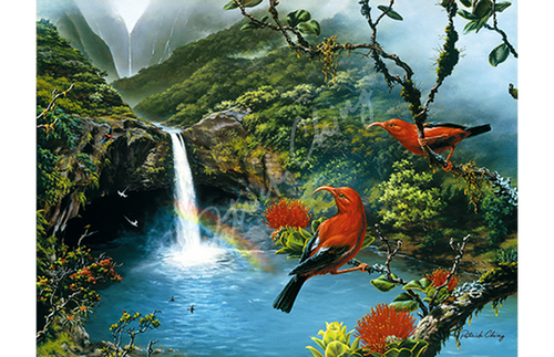 Hidden Valley | Patrick Ching