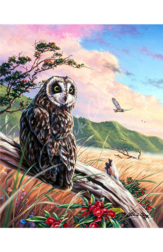 Lord of the Evening Sky | Patrick Ching