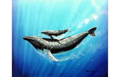 Koholā | Patrick Ching