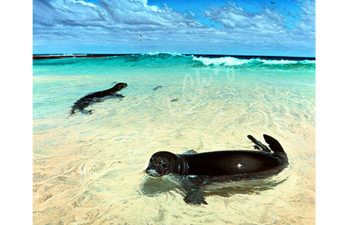 Crystal Paradise | Patrick Ching