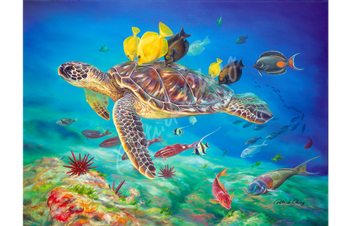 Honu Kisses | Patrick Ching