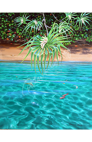 Hinano Lagoon | Patrick Ching