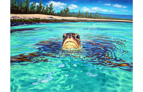 Honu Perspective | Patrick Ching