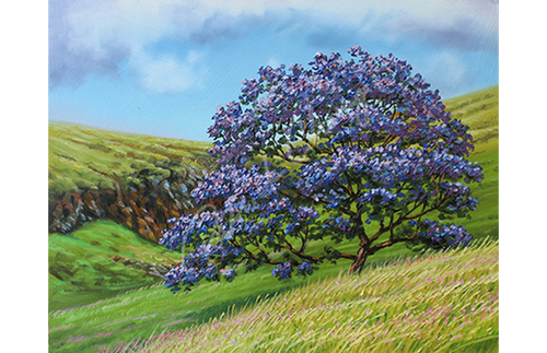 Jacaranda Hill | Patrick Ching