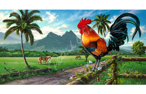 Rooster Ranch | Patrick Ching