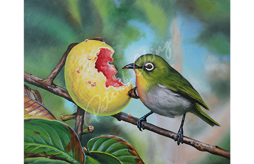 Guava Mejiro | Patrick Ching