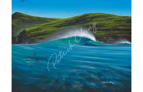 Shark Wave | Patrick Ching