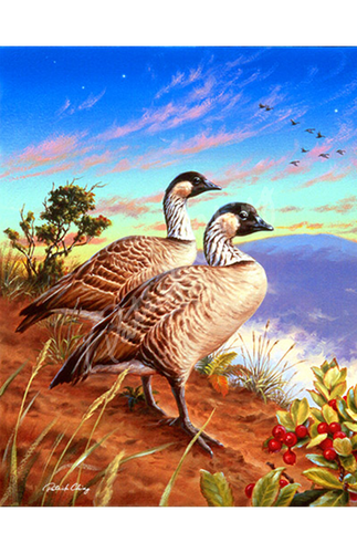 Mauna Loa Sunset | Patrick Ching